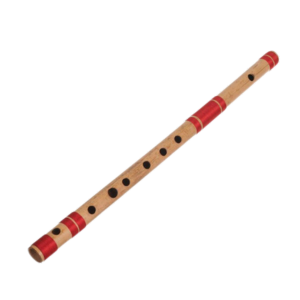 15 rare musical instruments you may never have heard of