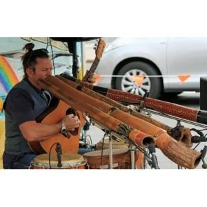 15 rare musical instruments you may never have heard of