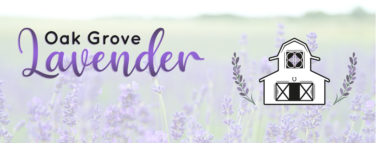 Oak Grove Lavender