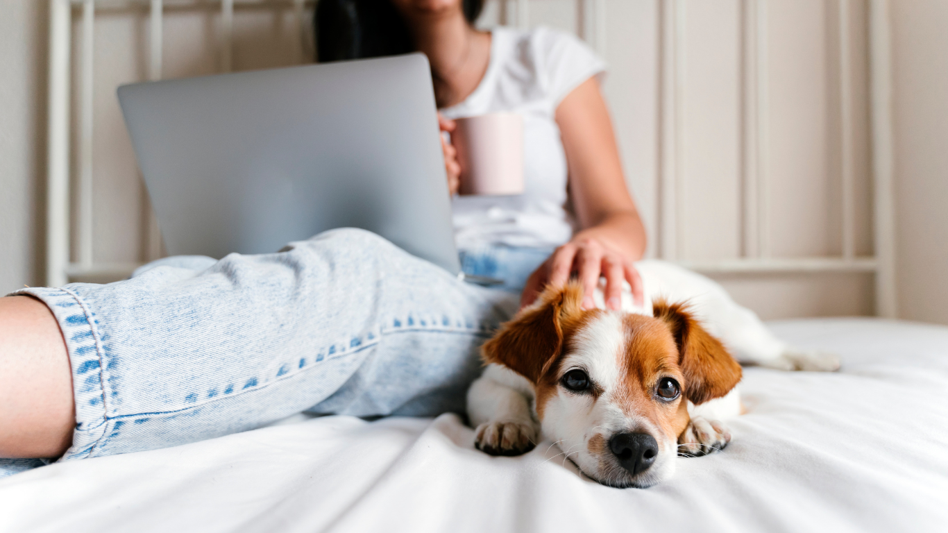 The Ultimate Guide to Shopping for Health Insurance Online — Arrow ...