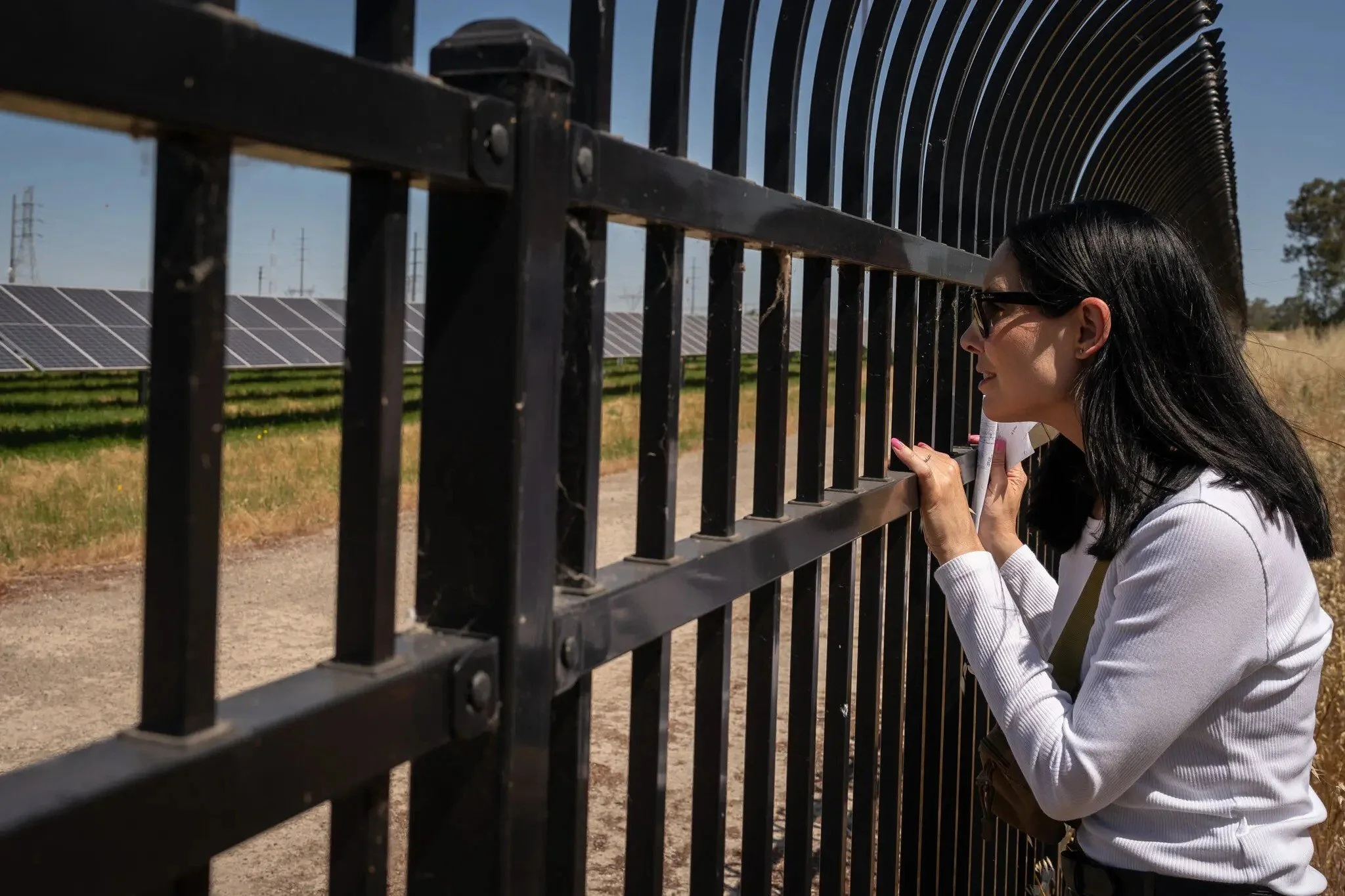 Wild Energy | Energy Solutions for Wildlife & Sustainability