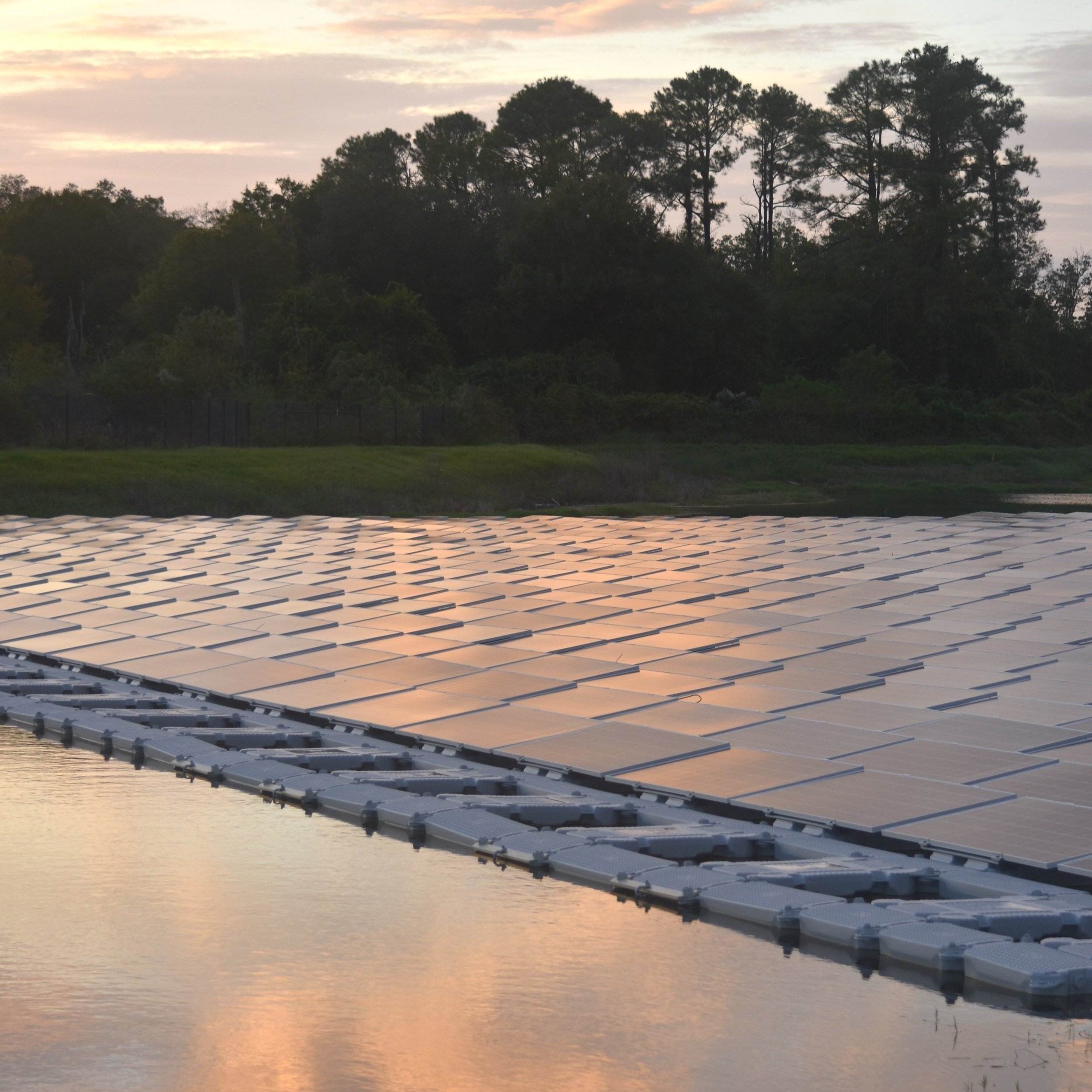 Wild Energy | Energy Solutions for Nature and Sustainability