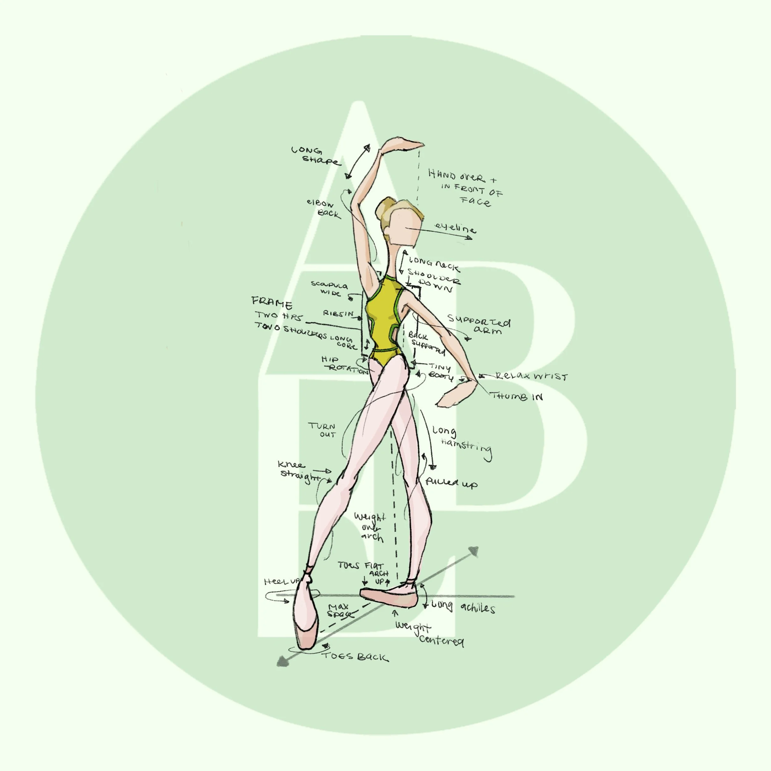 The Ballet Directory