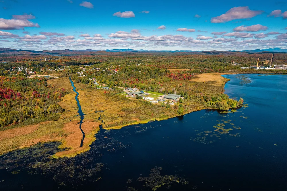 C2AE Architecture + Engineering