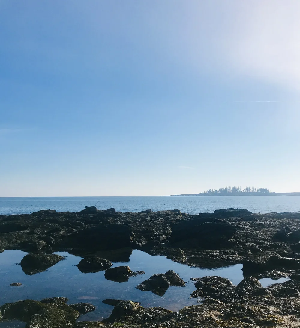 Touchstone Associates