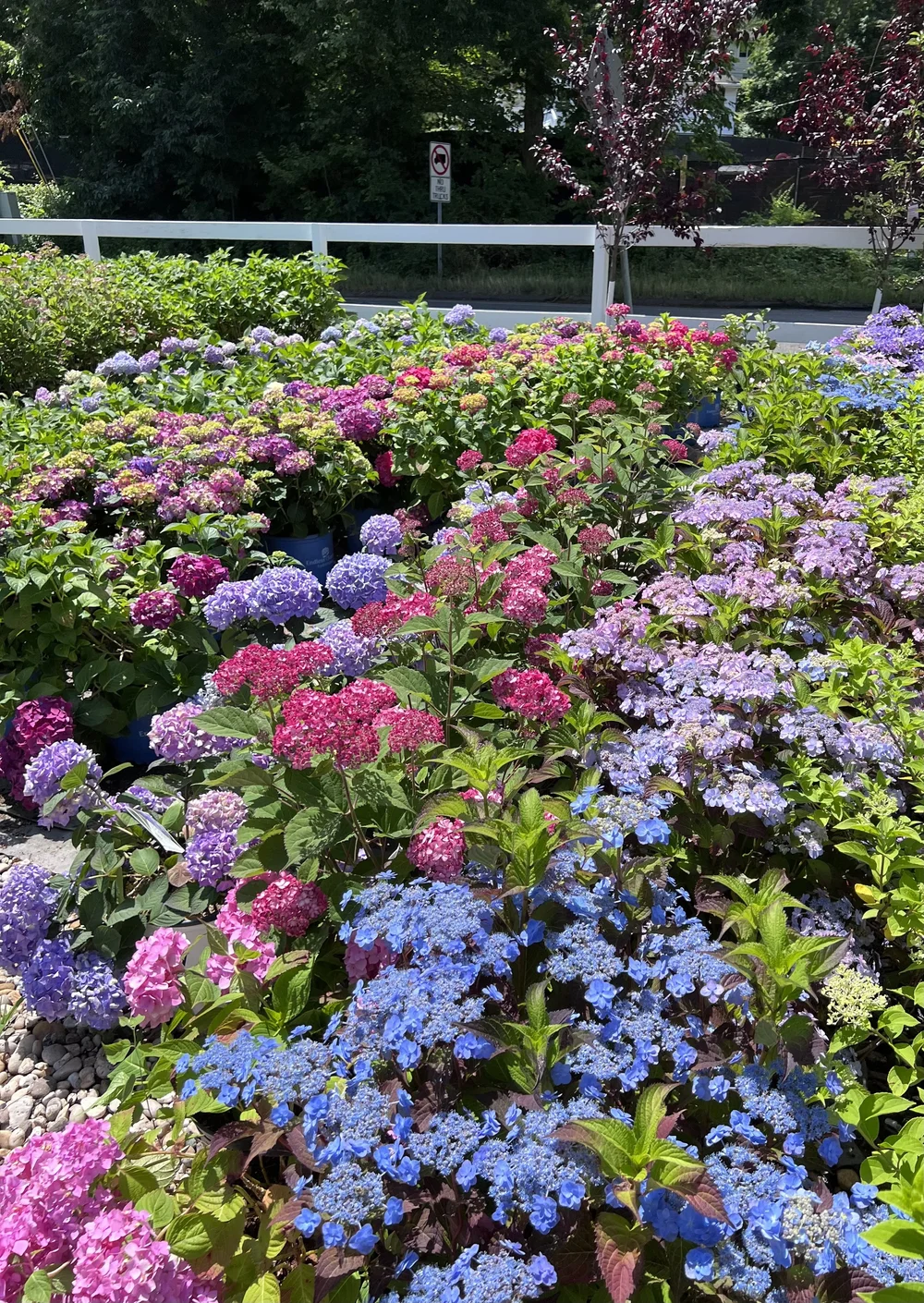 Garden Center — Eden Farms