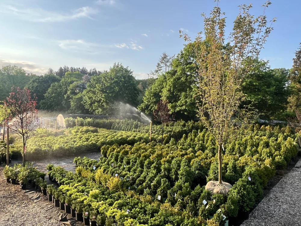 Garden Center — Eden Farms