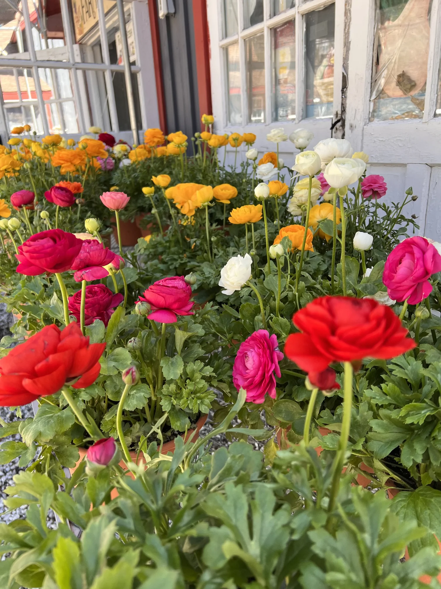 Garden Center — Eden Farms