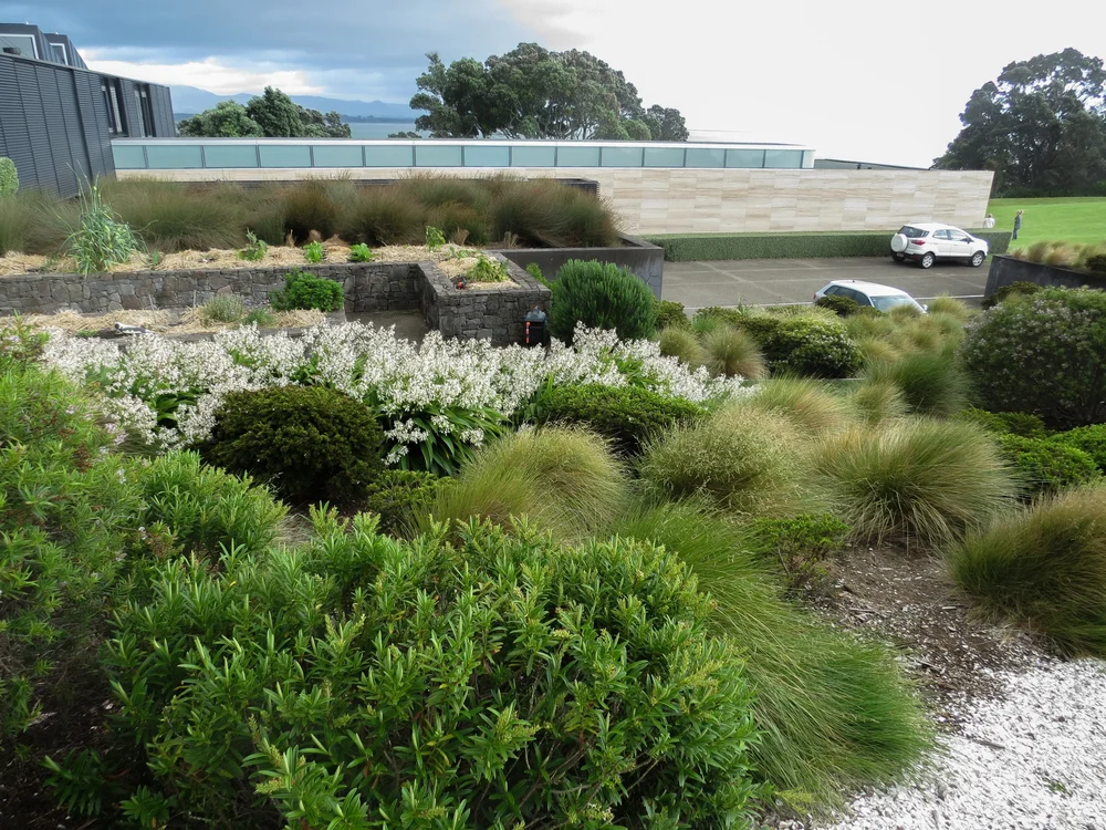 Inspiration — Naturally Native New Zealand Plants (2013) Ltd