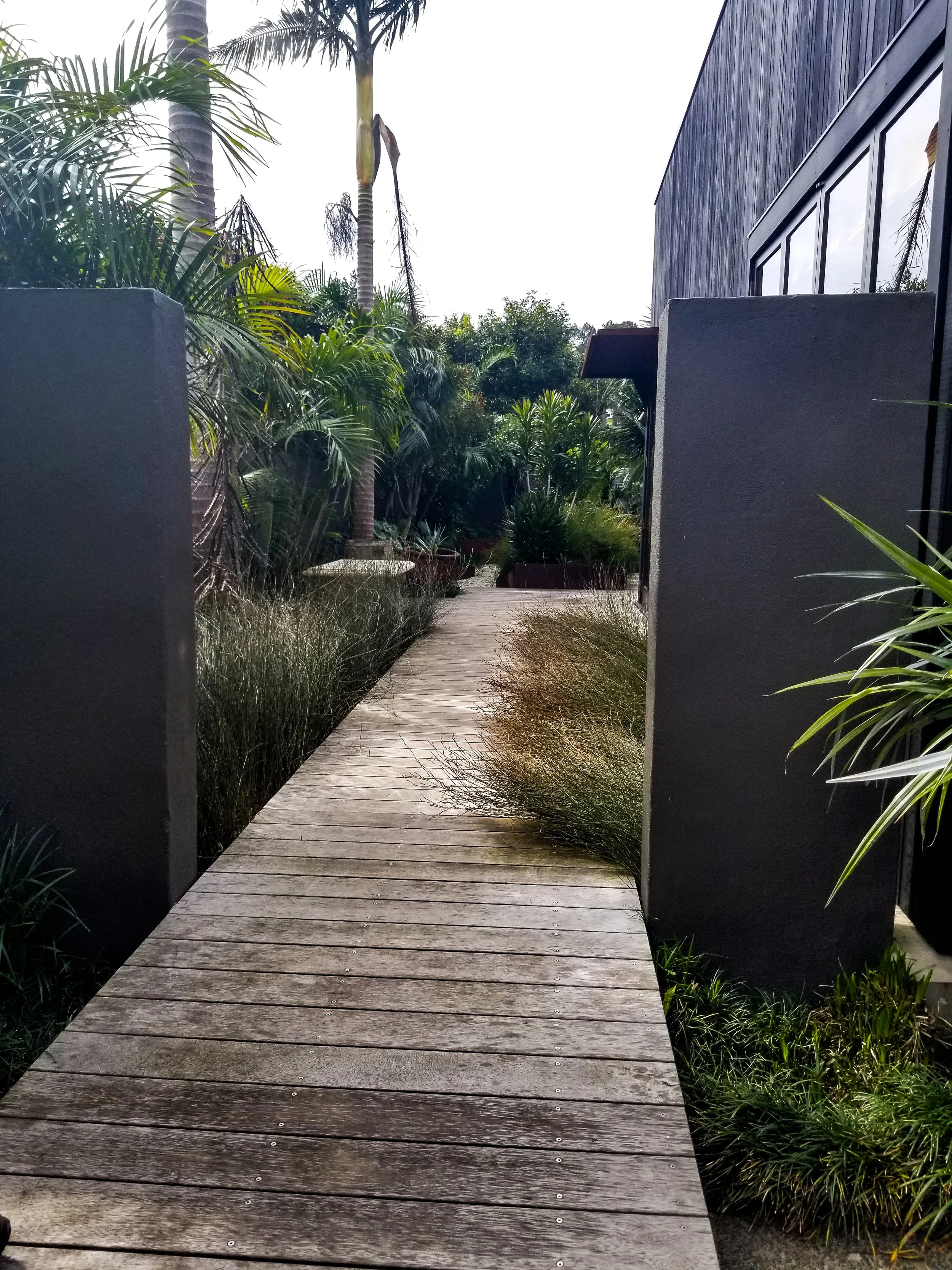 Inspiration — Naturally Native New Zealand Plants (2013) Ltd