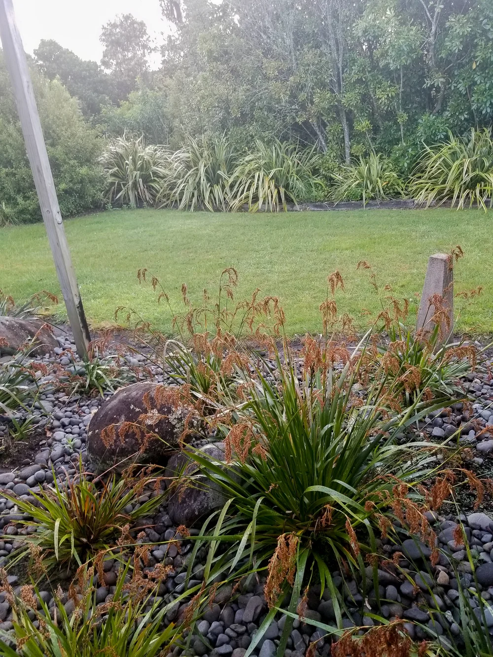 Inspiration — Naturally Native New Zealand Plants (2013) Ltd