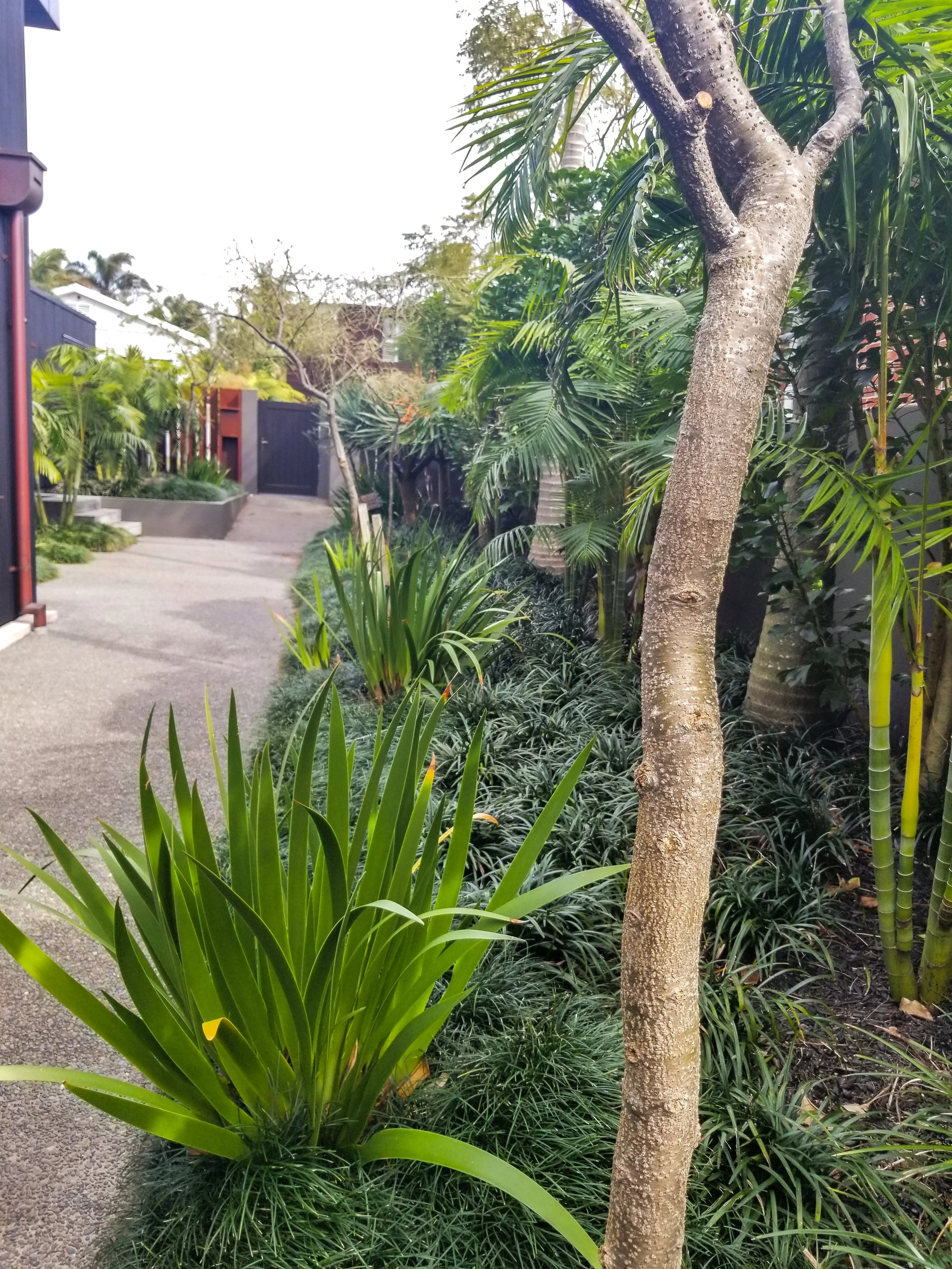 Inspiration — Naturally Native New Zealand Plants (2013) Ltd