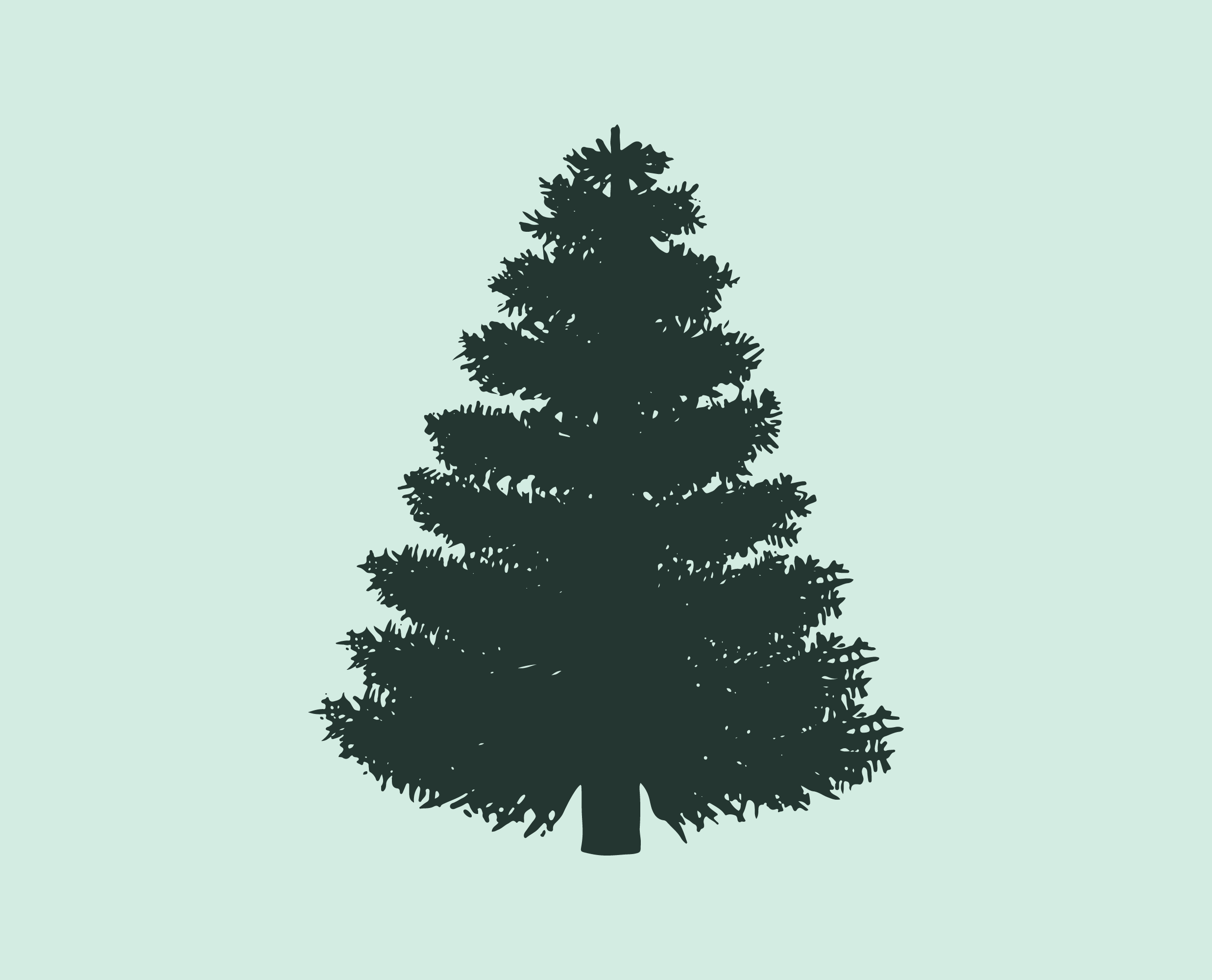 View Our Trees & Pricing — Advent Christmas Tree Farm, LLC