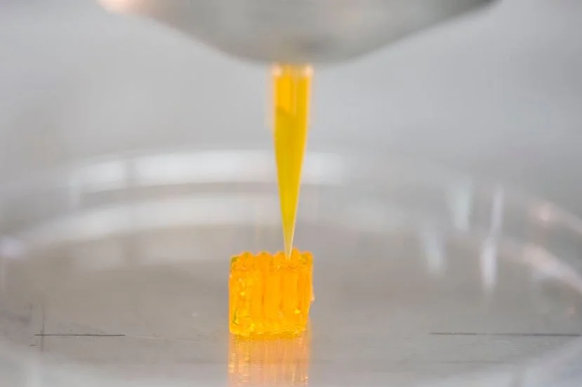 BIOFABRICATION TECHNOLOGIES — Maldalab