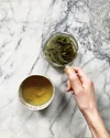 January in the Studio: Winter Rituals, Botanical Formulations & Garden ...