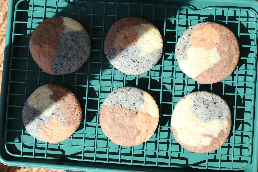 Calico Cat Cookies — Khanoms