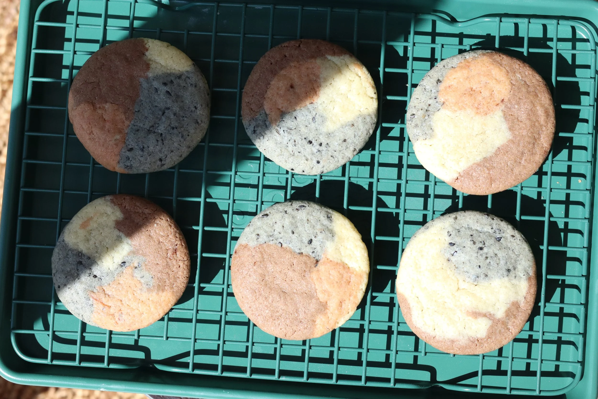 Calico Cat Cookies — Khanoms