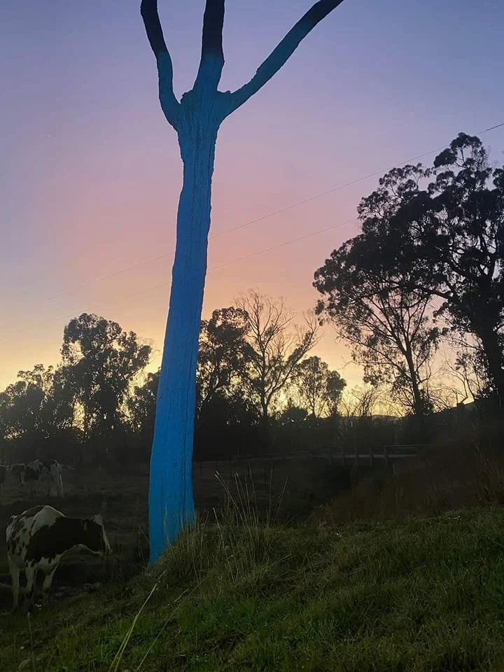 Sam’s Tree — The Unbreakable Farmer