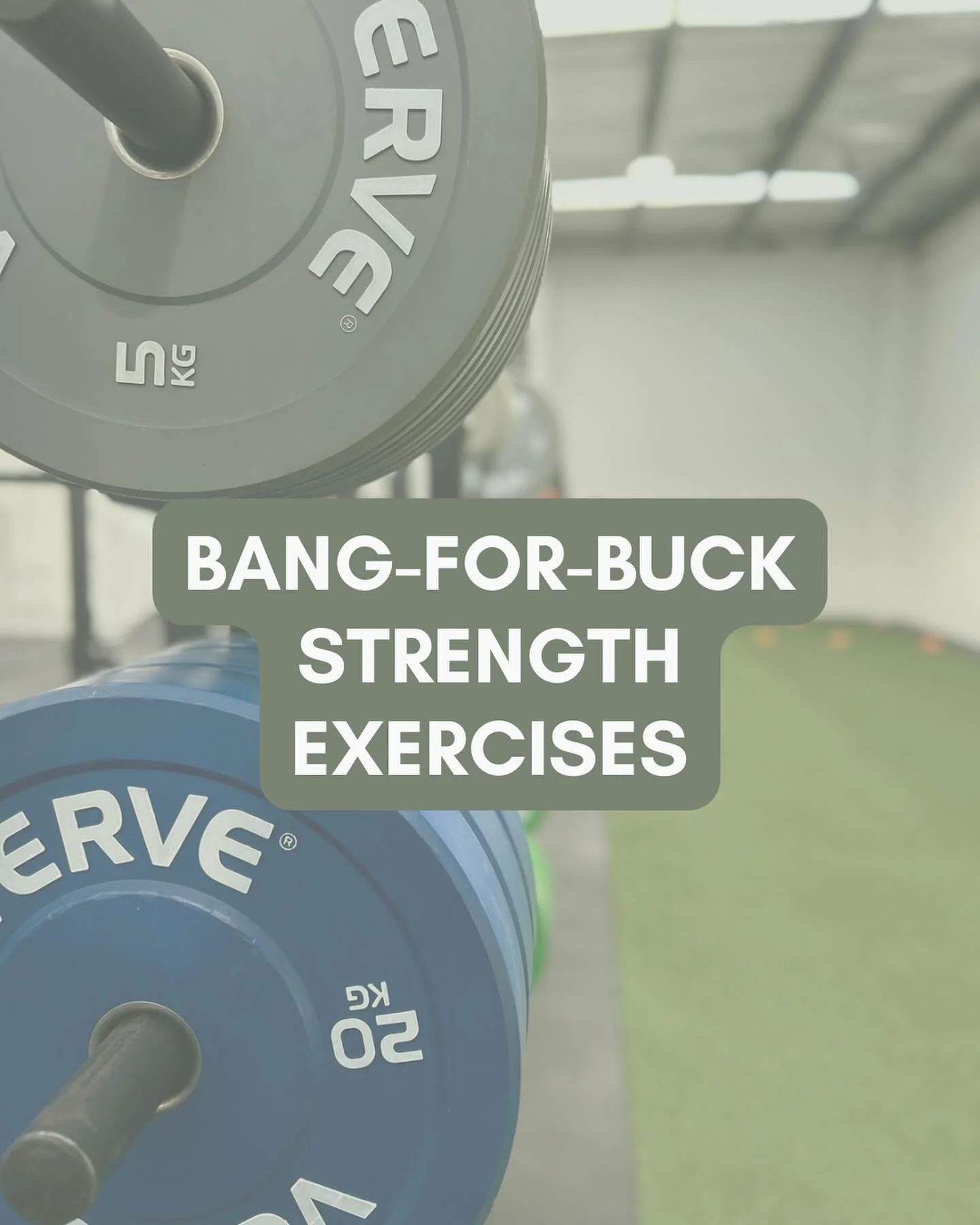 Motus life | Kensington | Chantelle Warren - Strength and Conditioning Coach