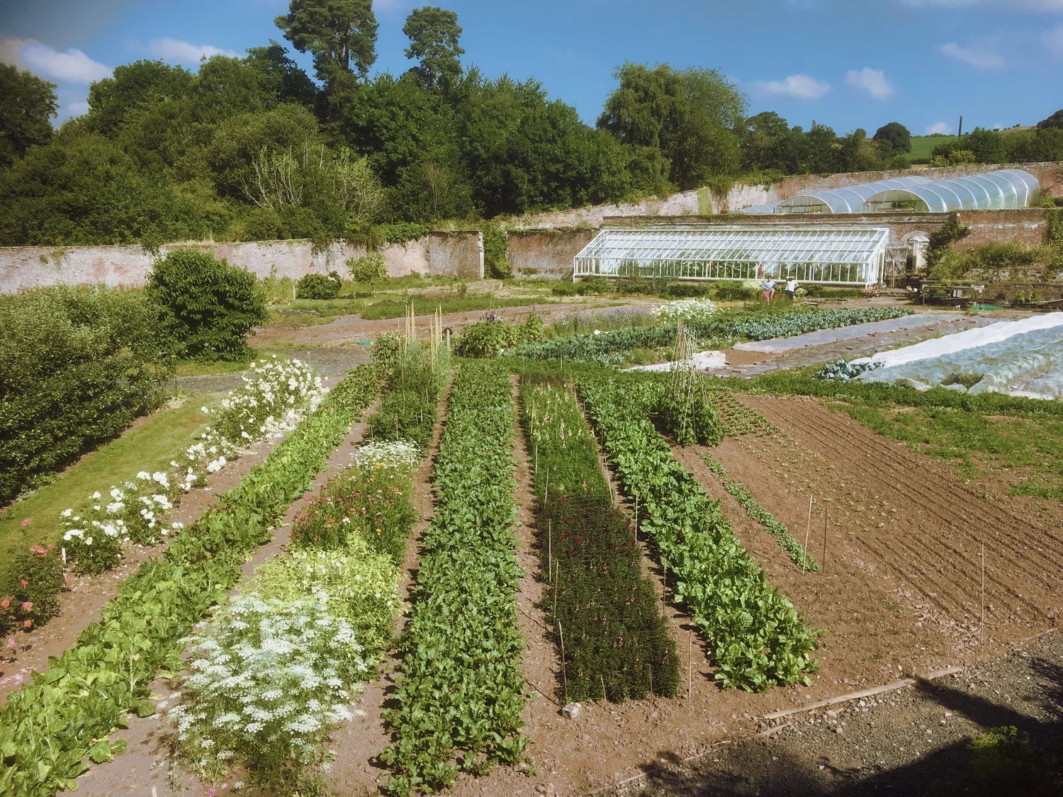 Walled Garden — Penpont