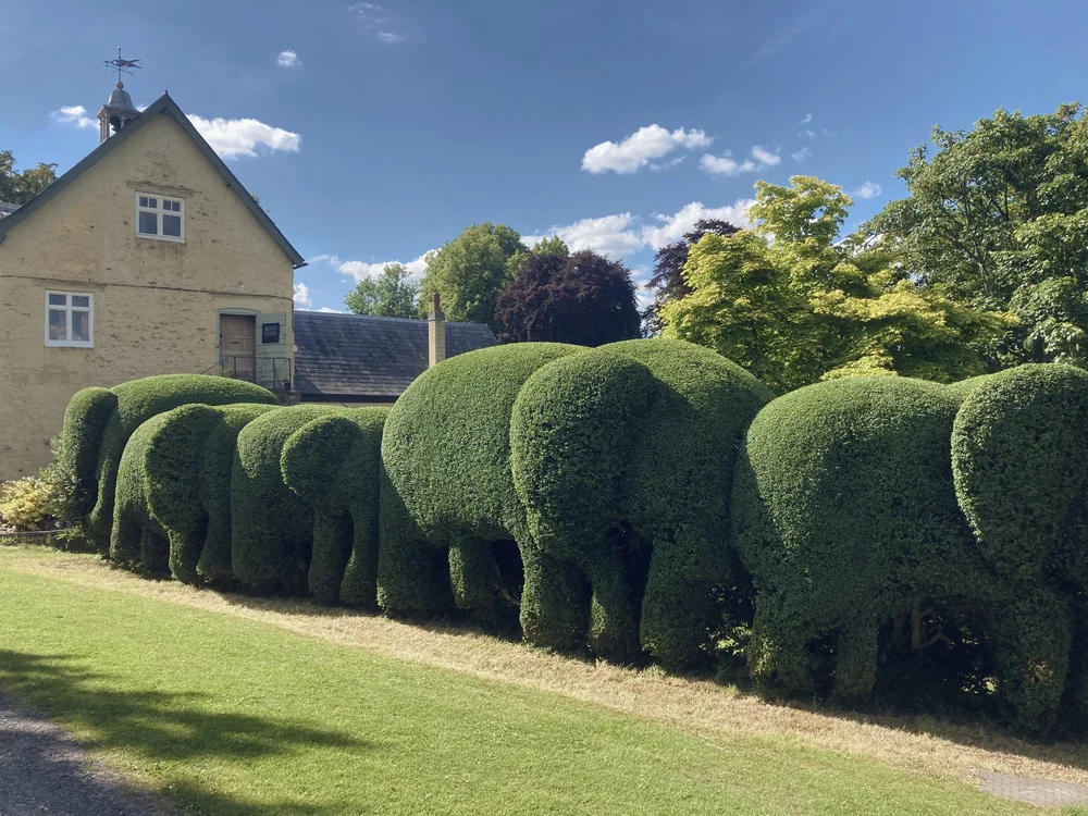 Our Story — Penpont