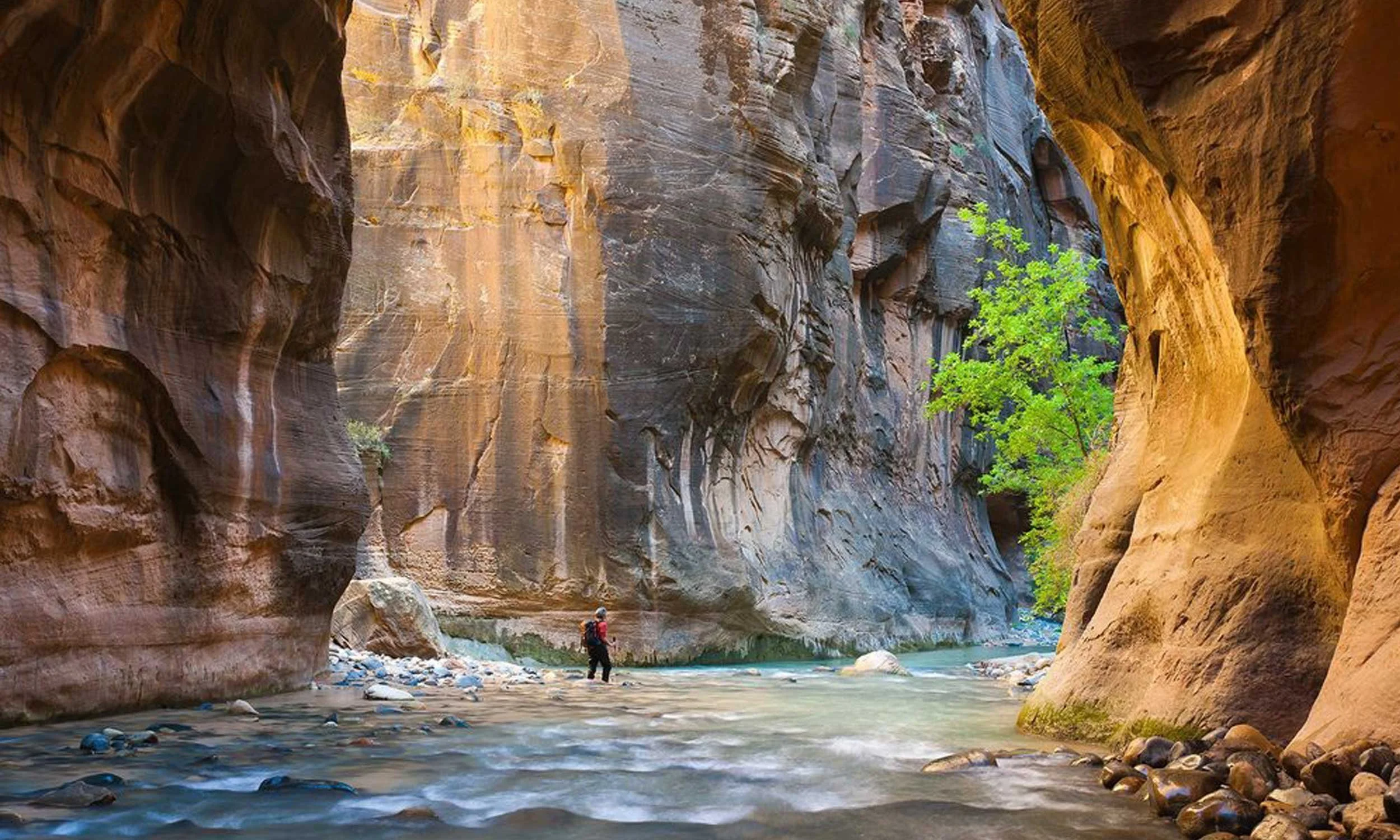 Zion Guru - Outfitter & Guide Service for Zion National Park