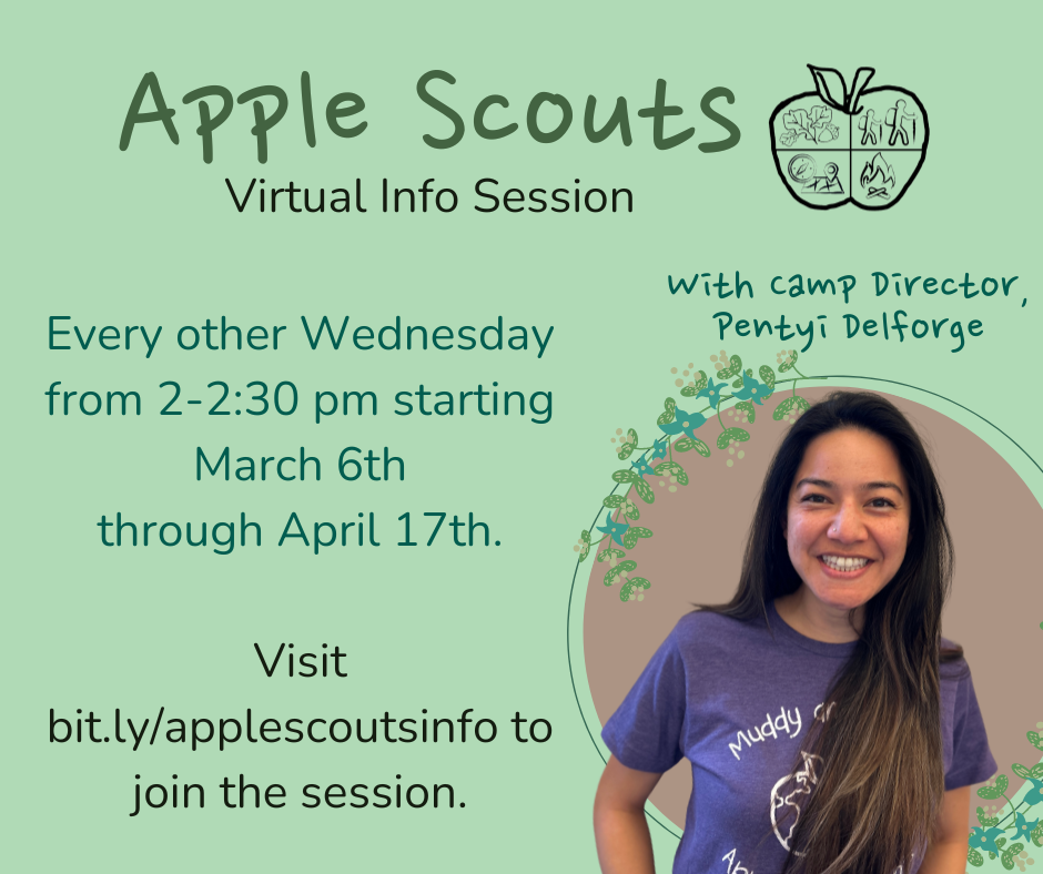 Apple Scouts — Apple Playschools