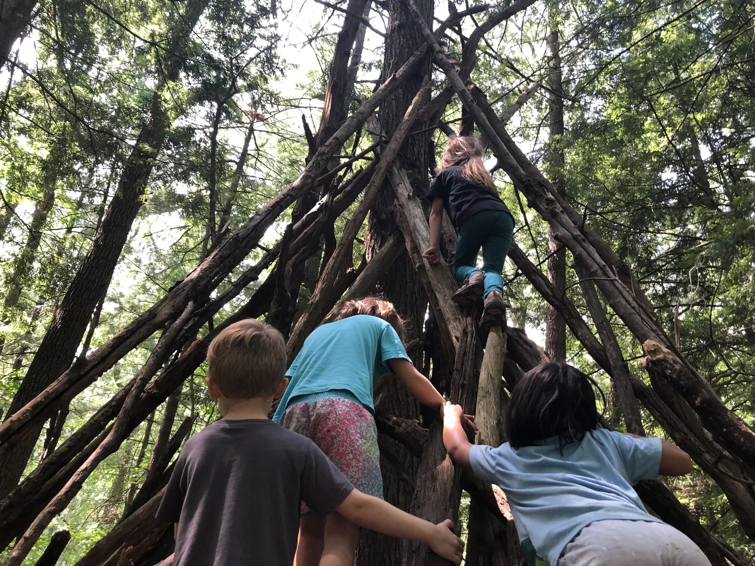 Apple Scouts — Apple Playschools