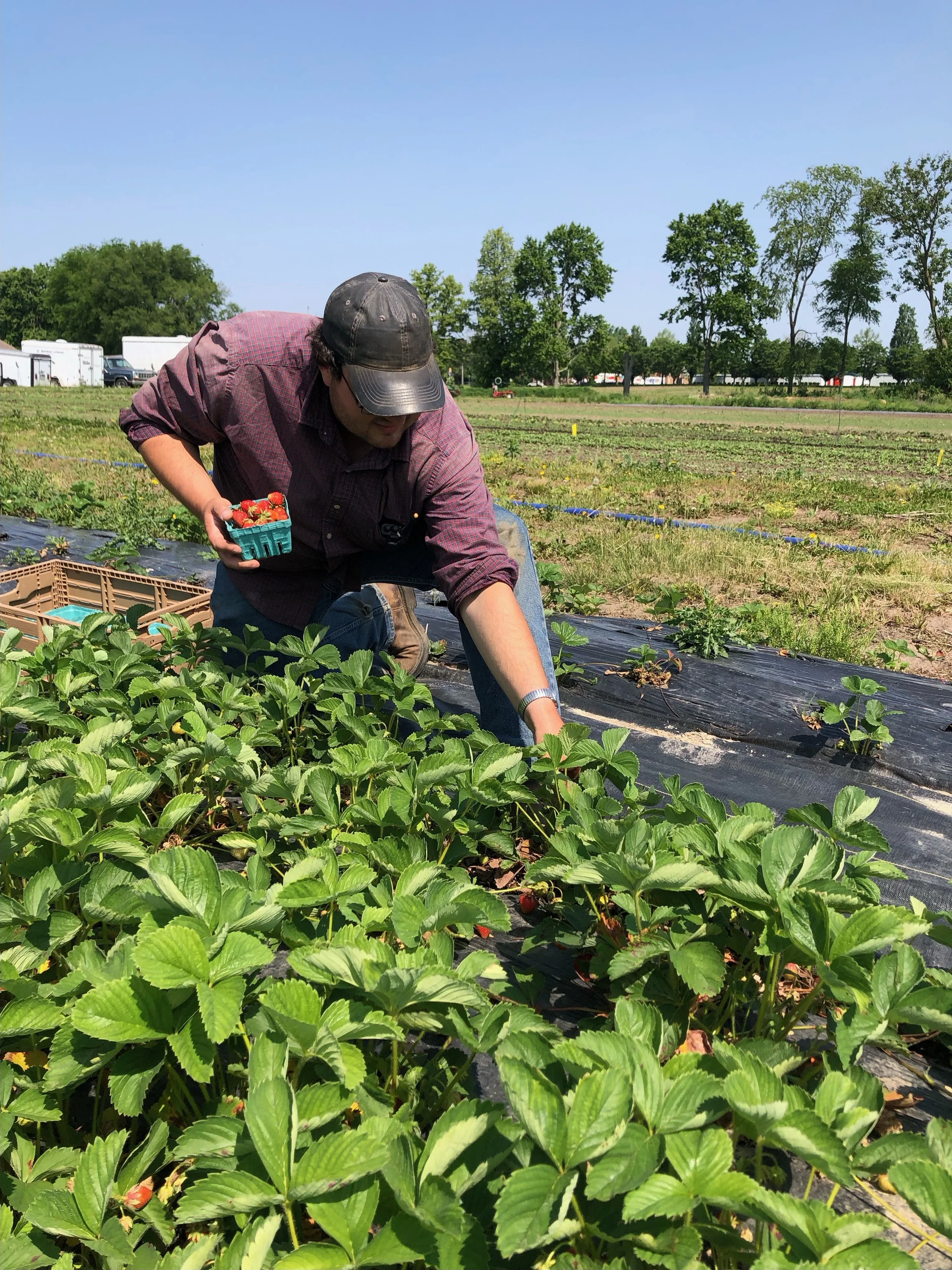 Support — Sola Gratia Farm