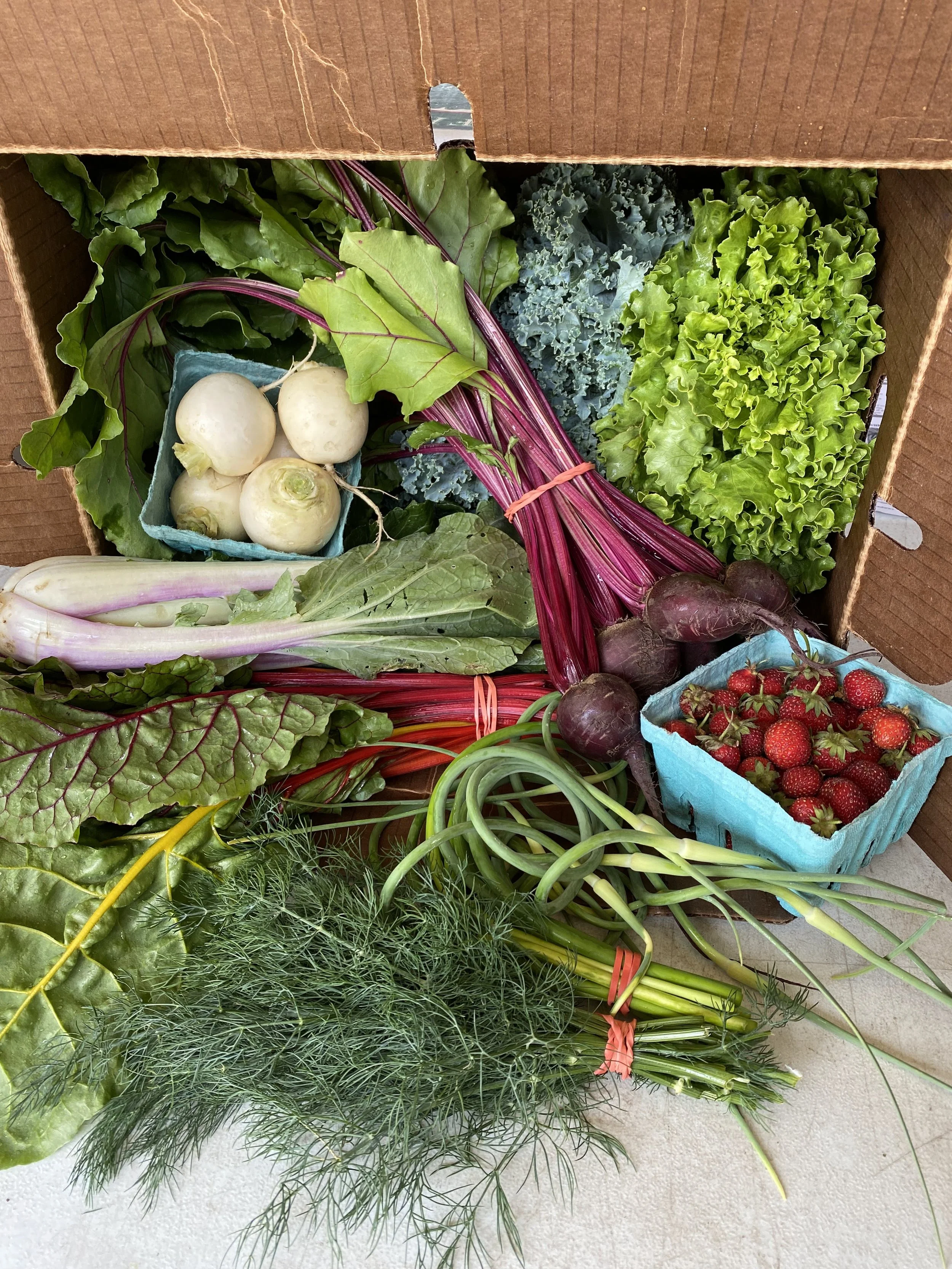 Support — Sola Gratia Farm