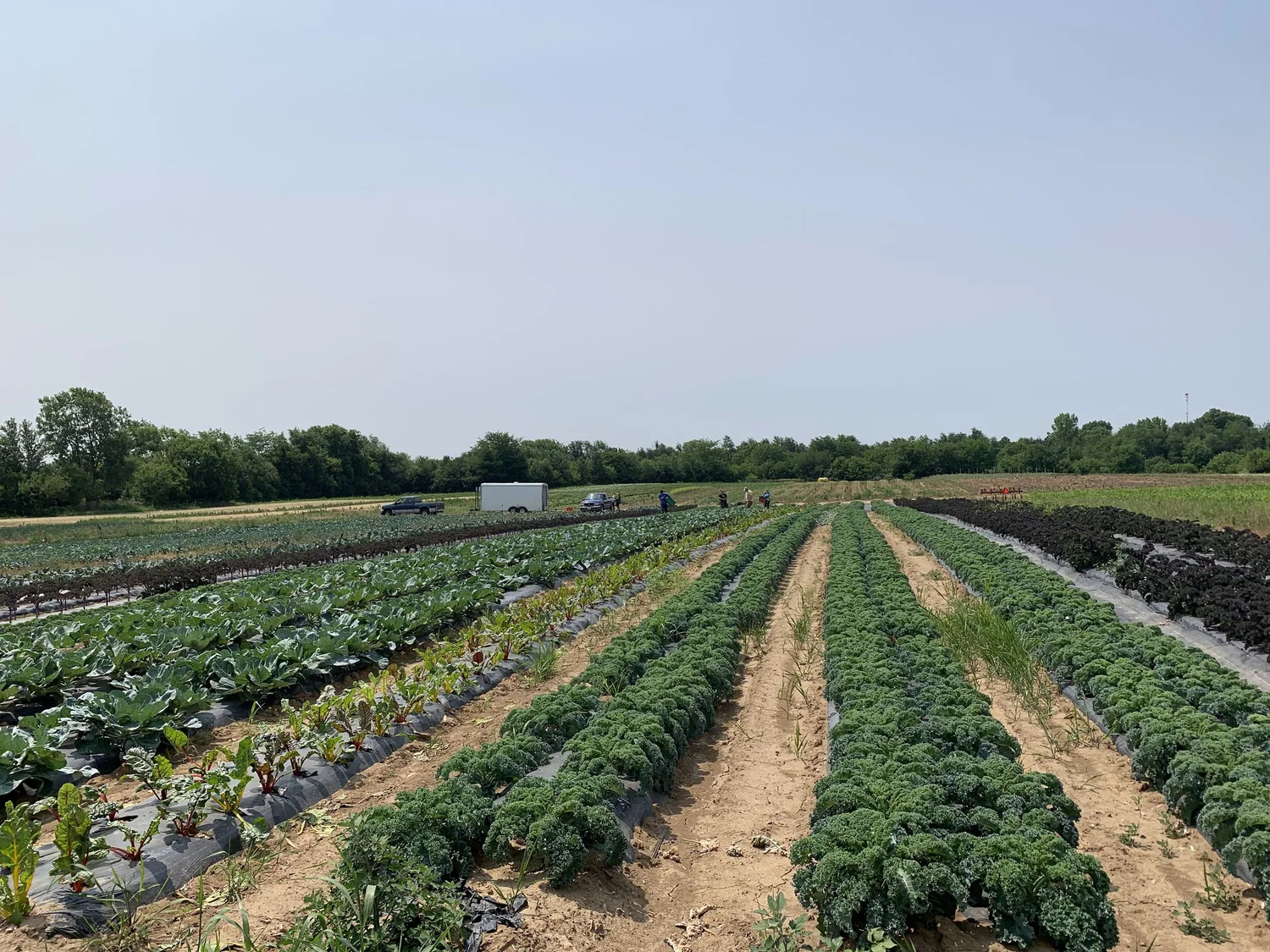 Help Us Grow — Sola Gratia Farm