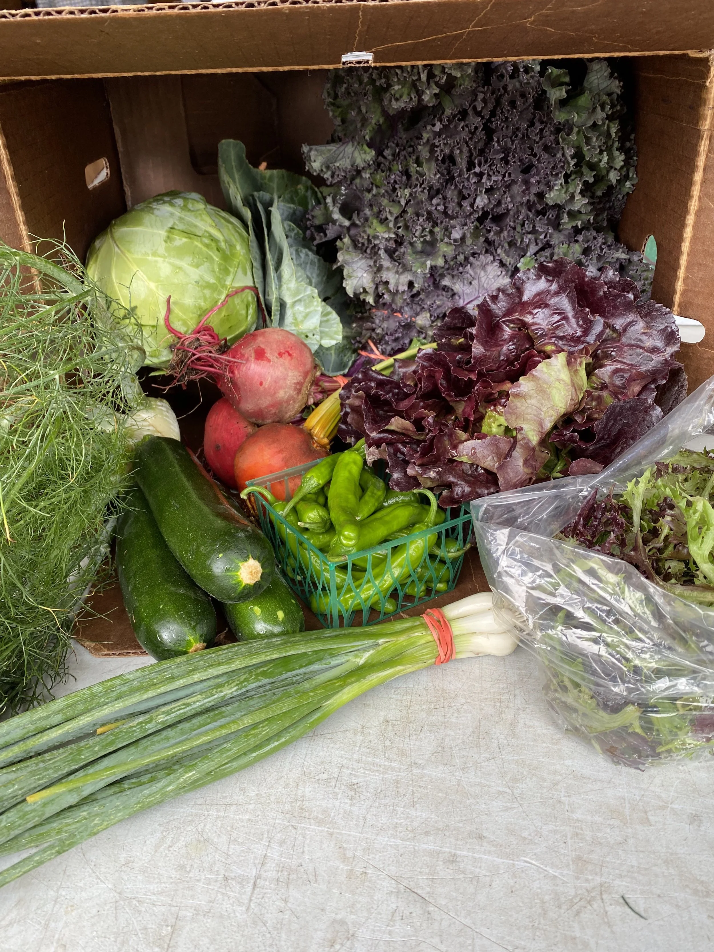 CSA — Sola Gratia Farm