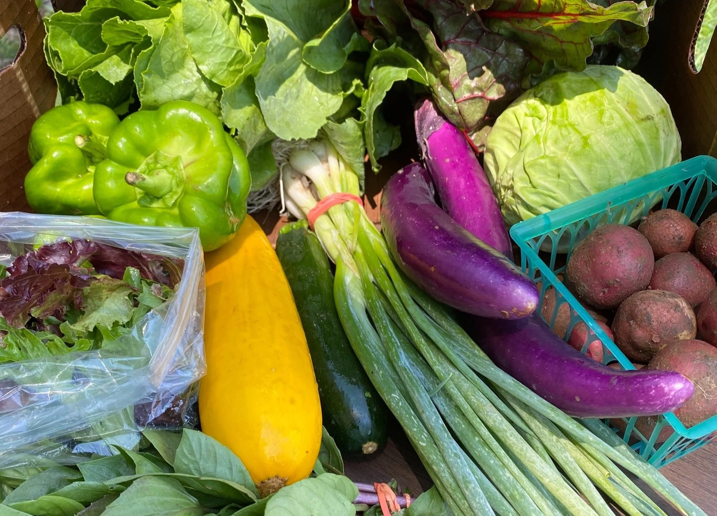 Help Us Grow — Sola Gratia Farm