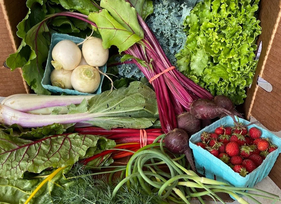 CSA — Sola Gratia Farm