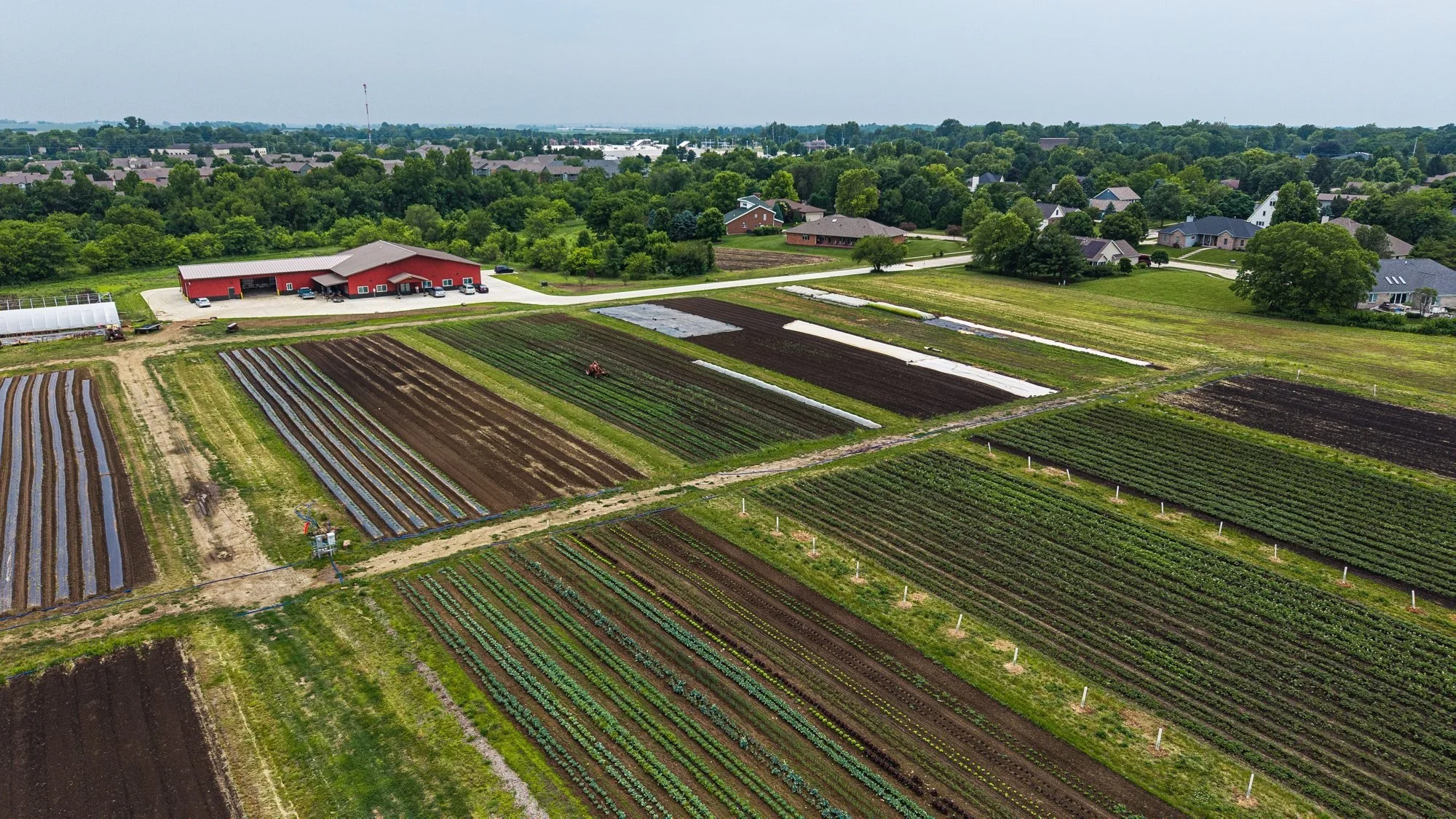 Sola Gratia Farm