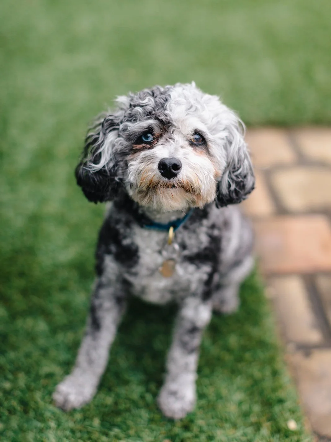 Studio — Bess Lovern Design