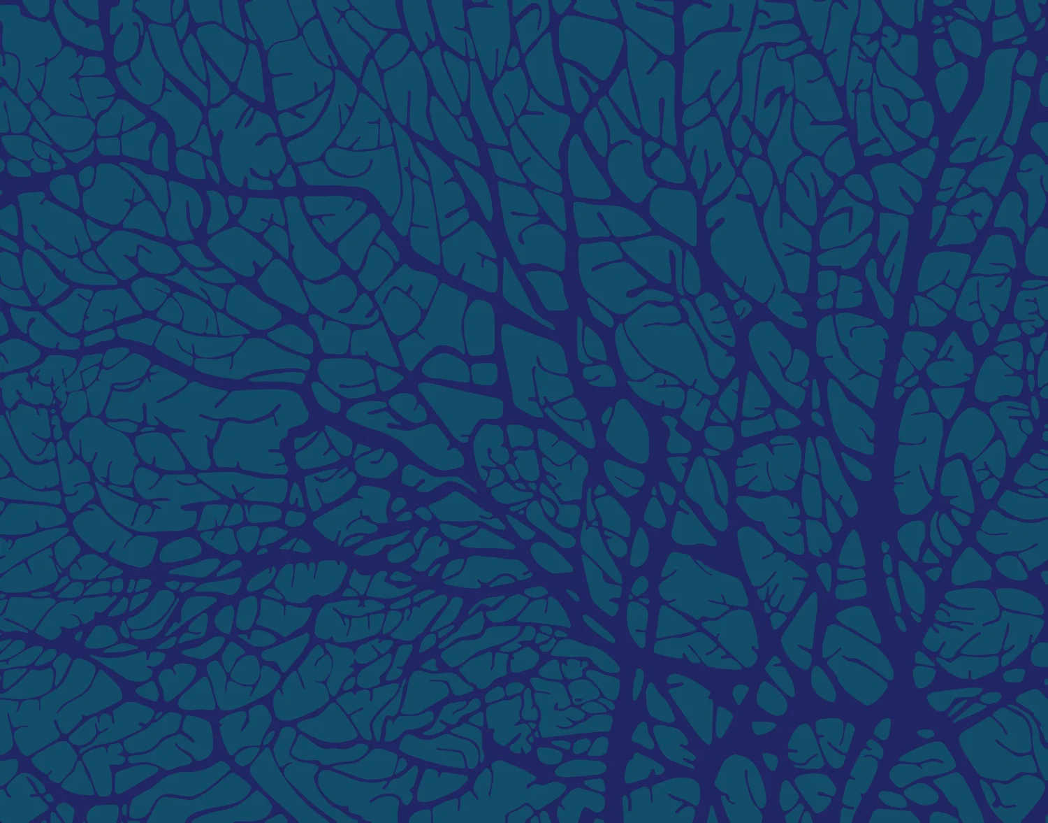 Coral Studio | Landscape Architecture + Design | San Antonio