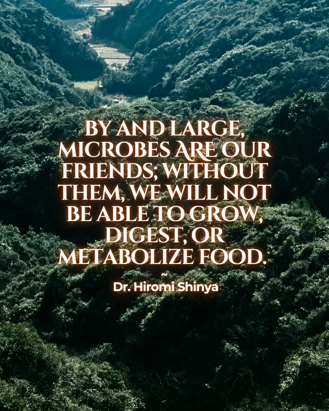 The Earth Element - Microbes Are Here To Heal You — Dan Hegerich ...