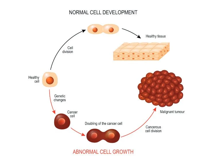 Scientific Discussions: Precision Oncology, NGS Advancements, and ...