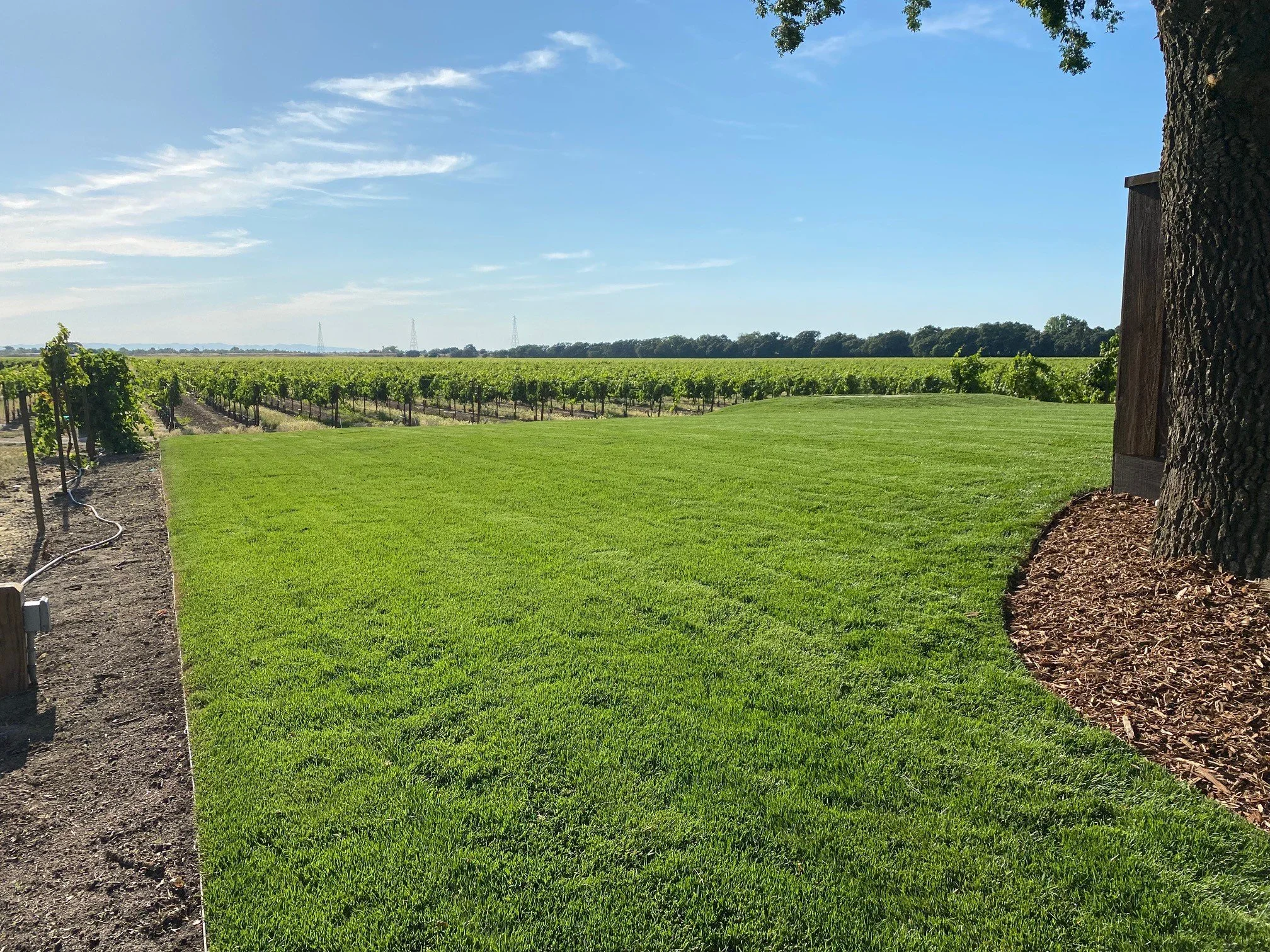 Outdoor Ceremony Location Options — Silt Wine Company