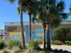 Home | Friends of Seabreeze Elementary