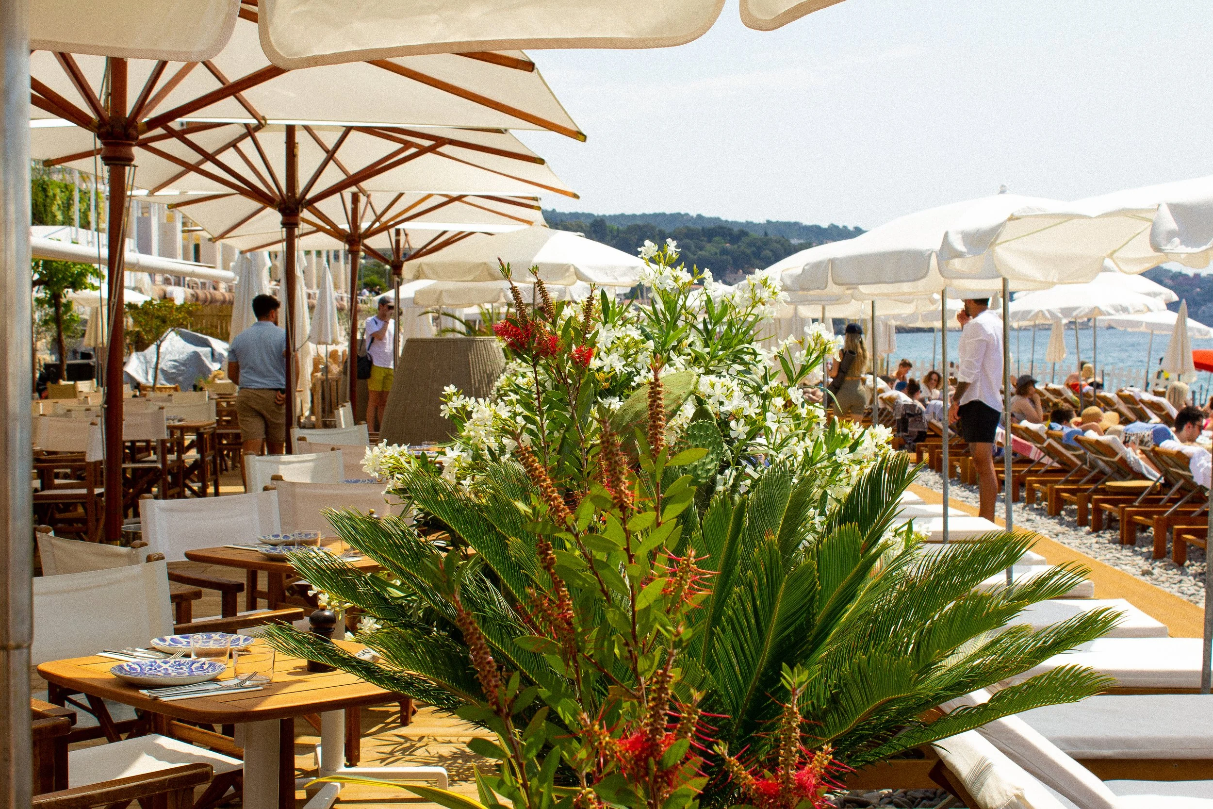 BOCCA MAR - Restaurant, Tapas, Plage à Nice