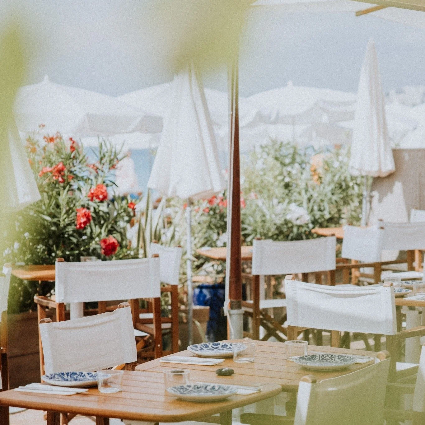 BOCCA MAR - Restaurant, Tapas, Plage à Nice