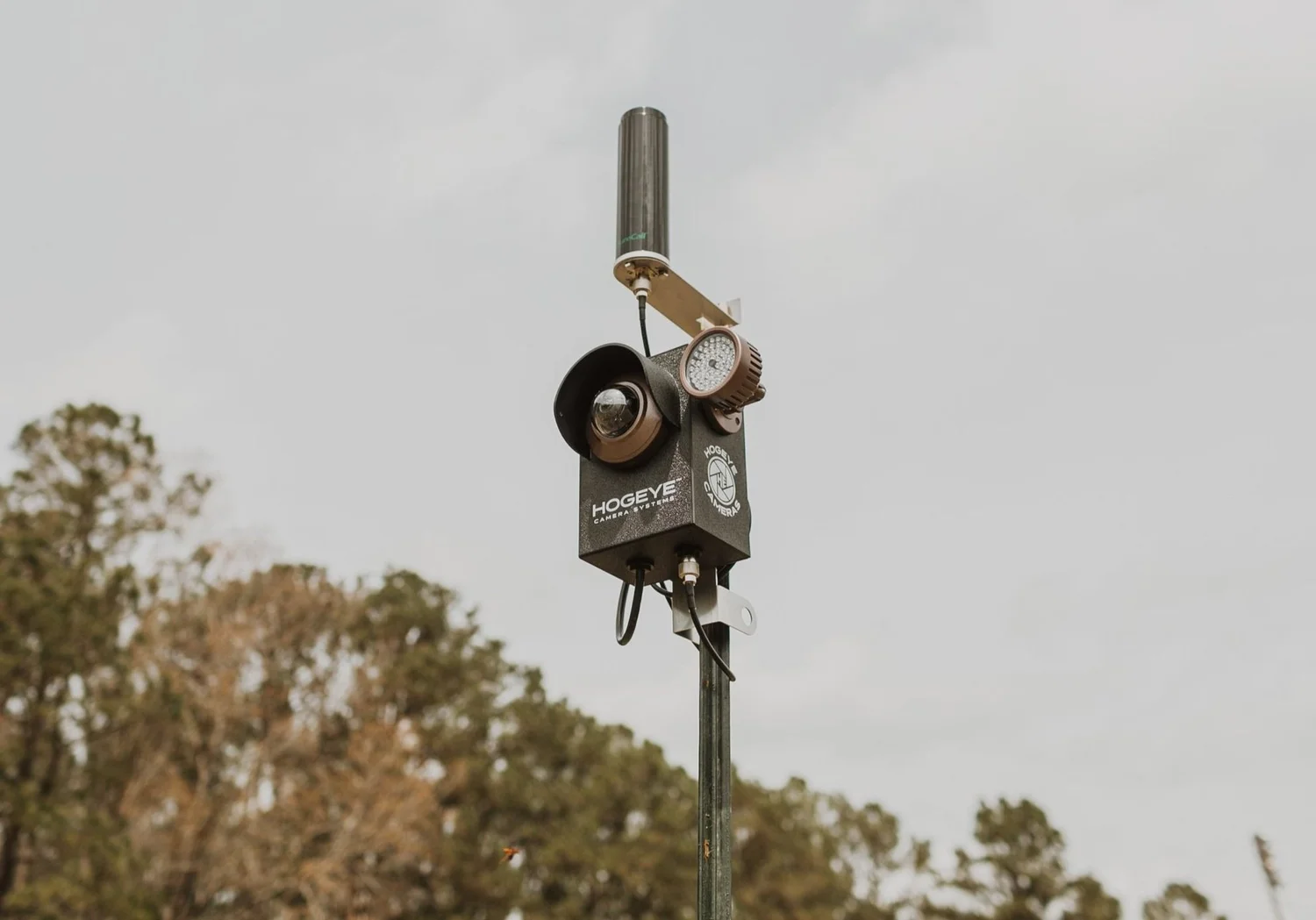 Hogeye Cameras — The Hog Trap Warehouse