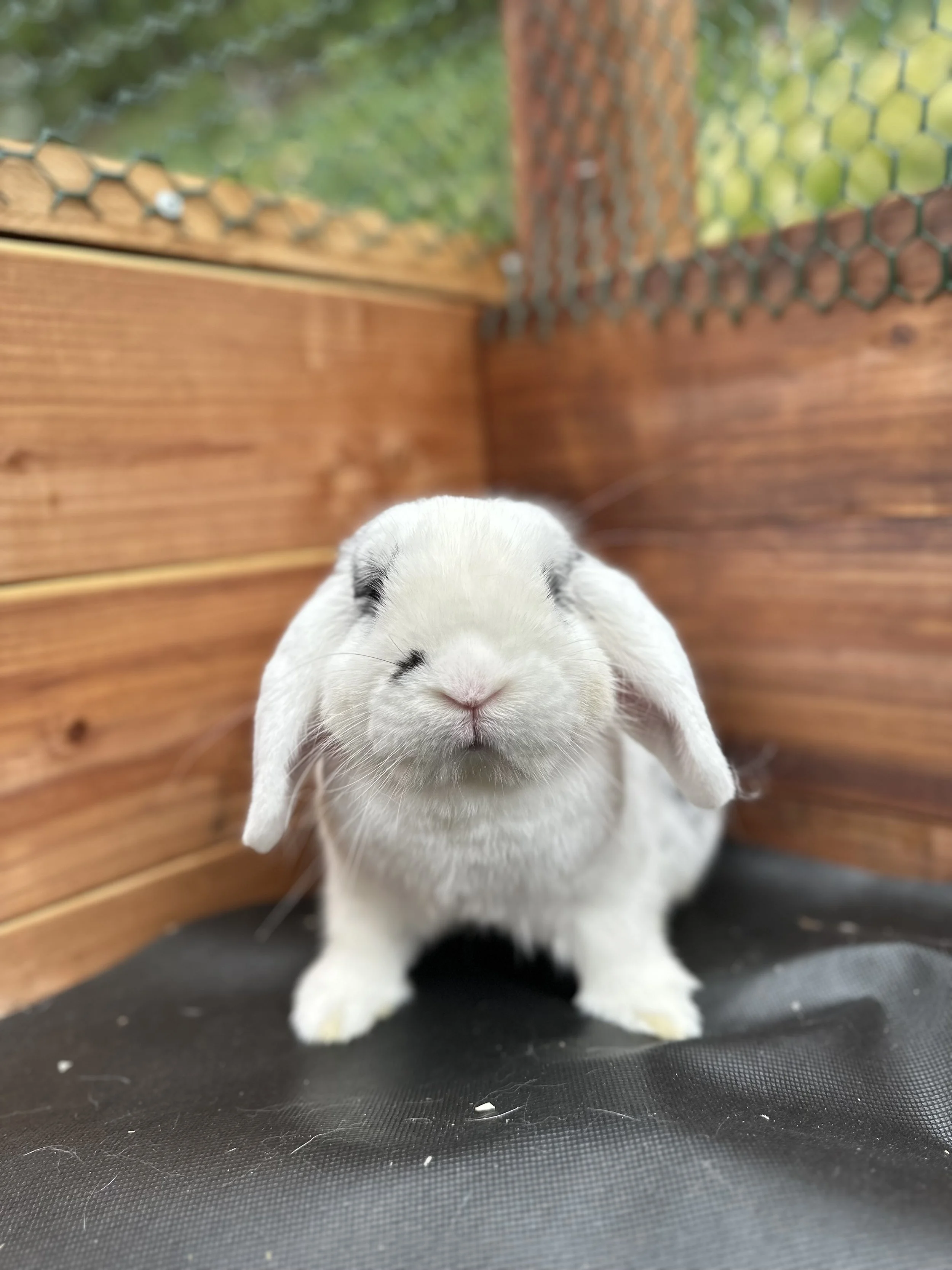 Our Story — SOLEIL GARDENS