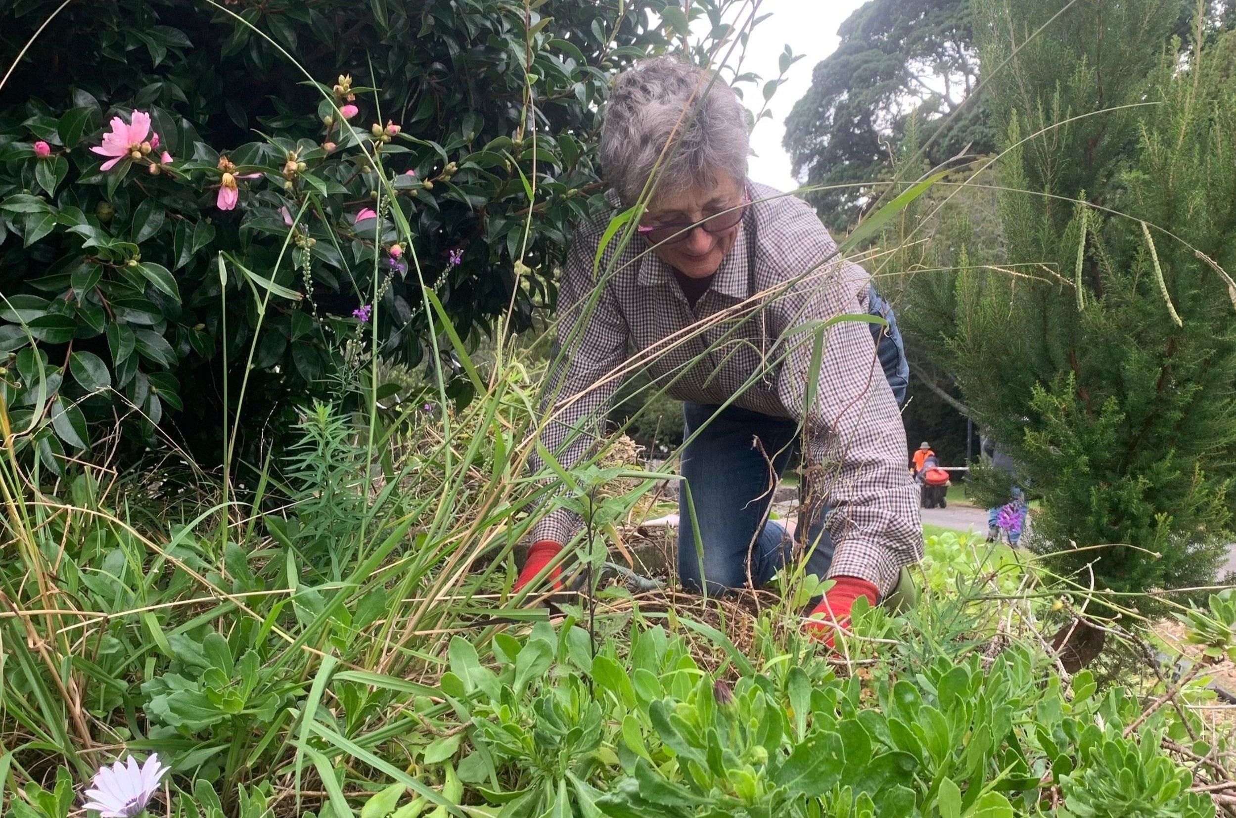 Mahi Pai — TARANAKI CATHEDRAL