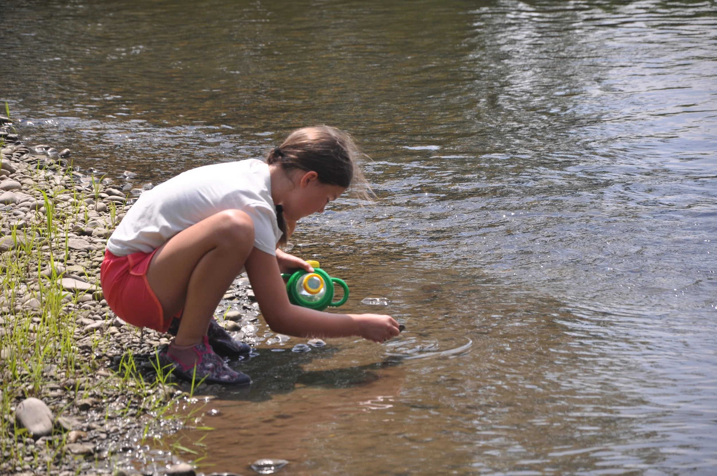 Programs & Events — Rogers Center