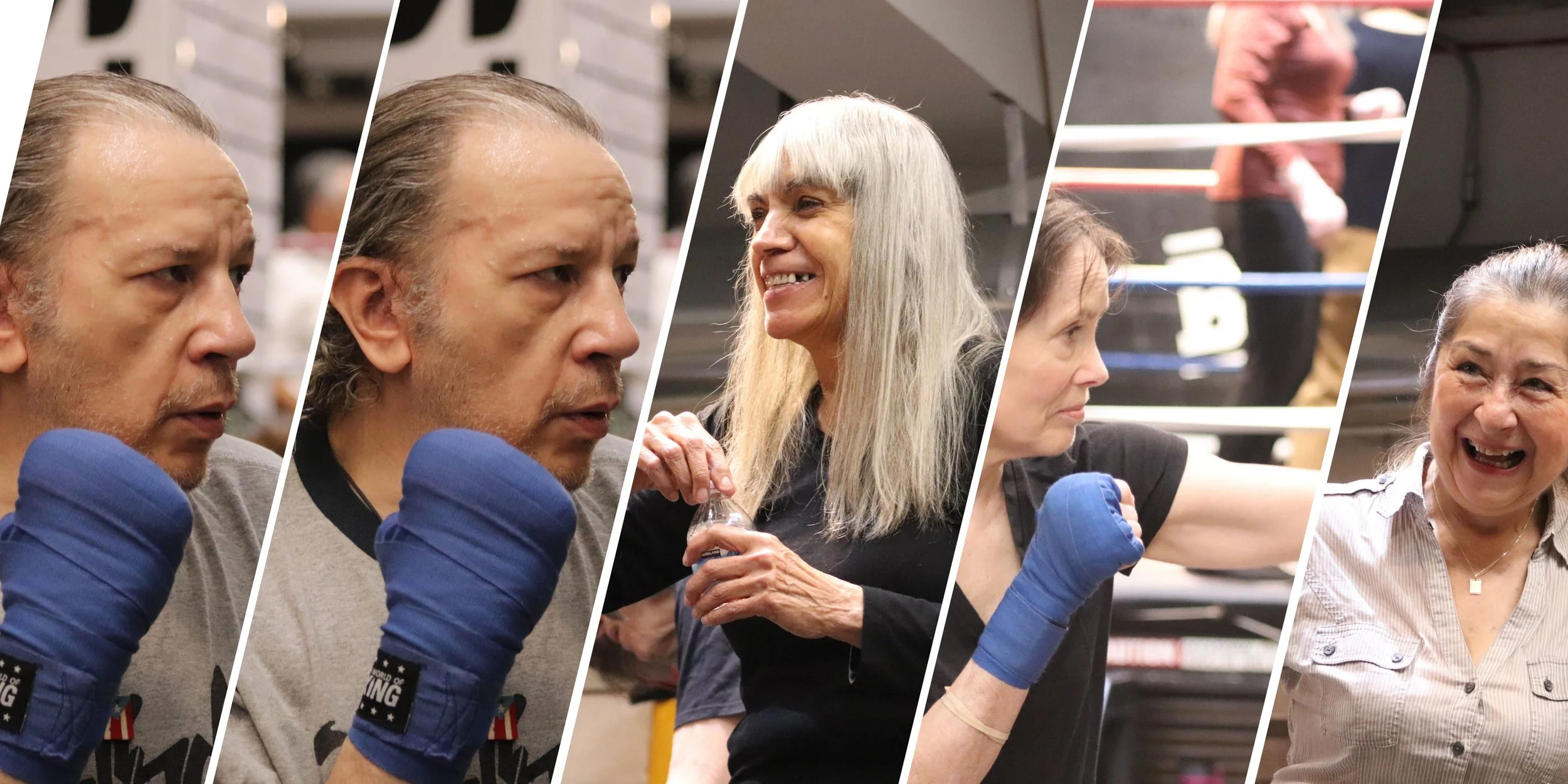 Moving Brains Foundation