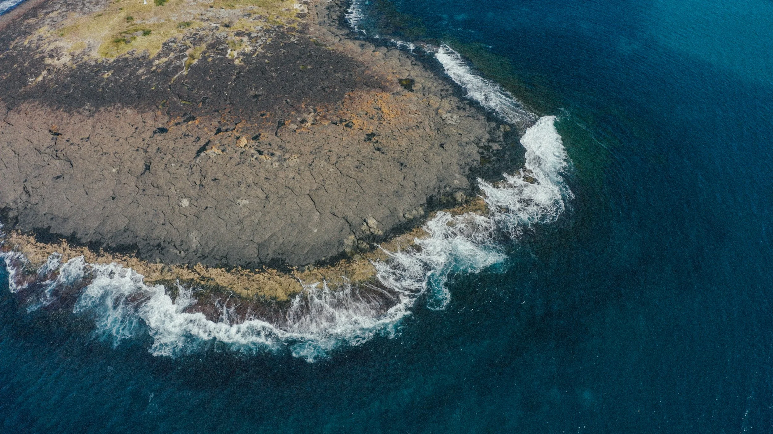 'Great Southern Reef' NSW Ports & UOW — Karla Hayes