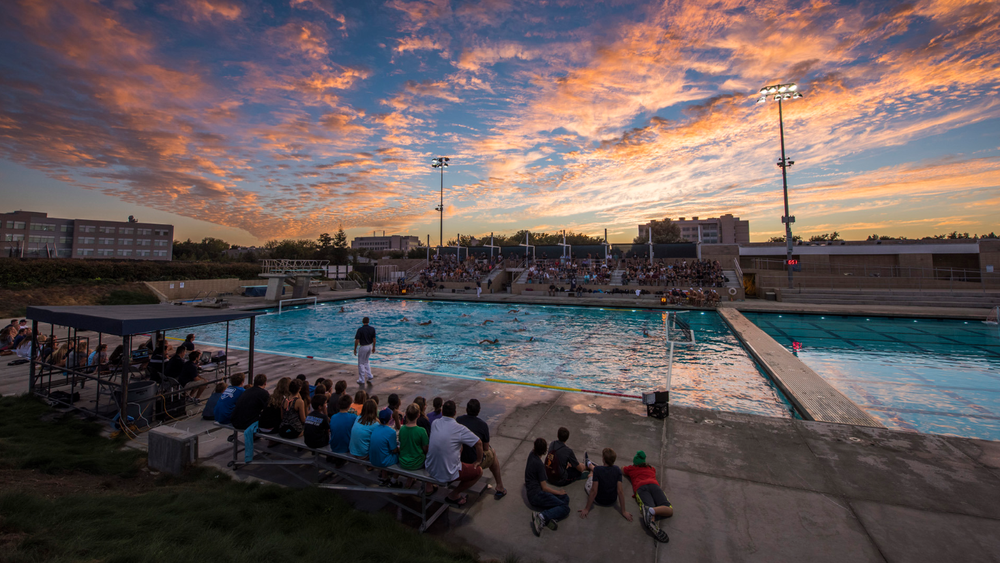 UCD Men's Club WP
